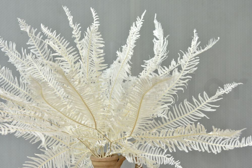 Preserved mountain fern - White