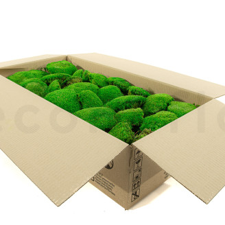 Mousse stabilisée - SecondFlor