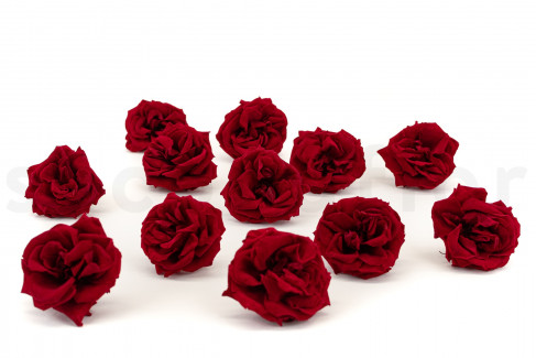 Rose Sauvage Stabilisée - Boîte de 12 - Rouge