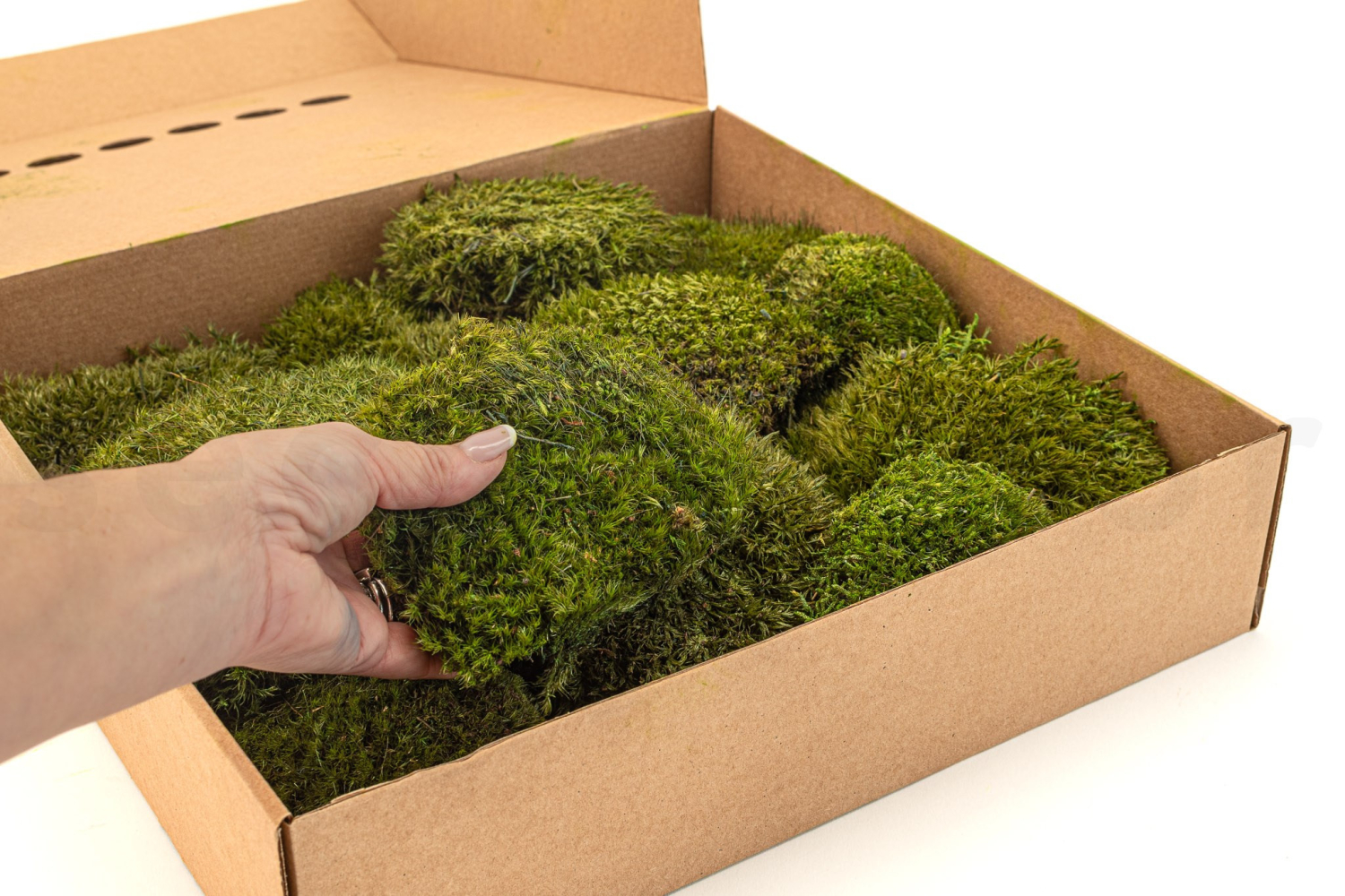 Mood Moss Preserved - Box - Nature Green