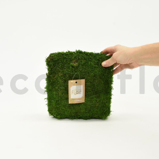 Mousse stabilisée - SecondFlor