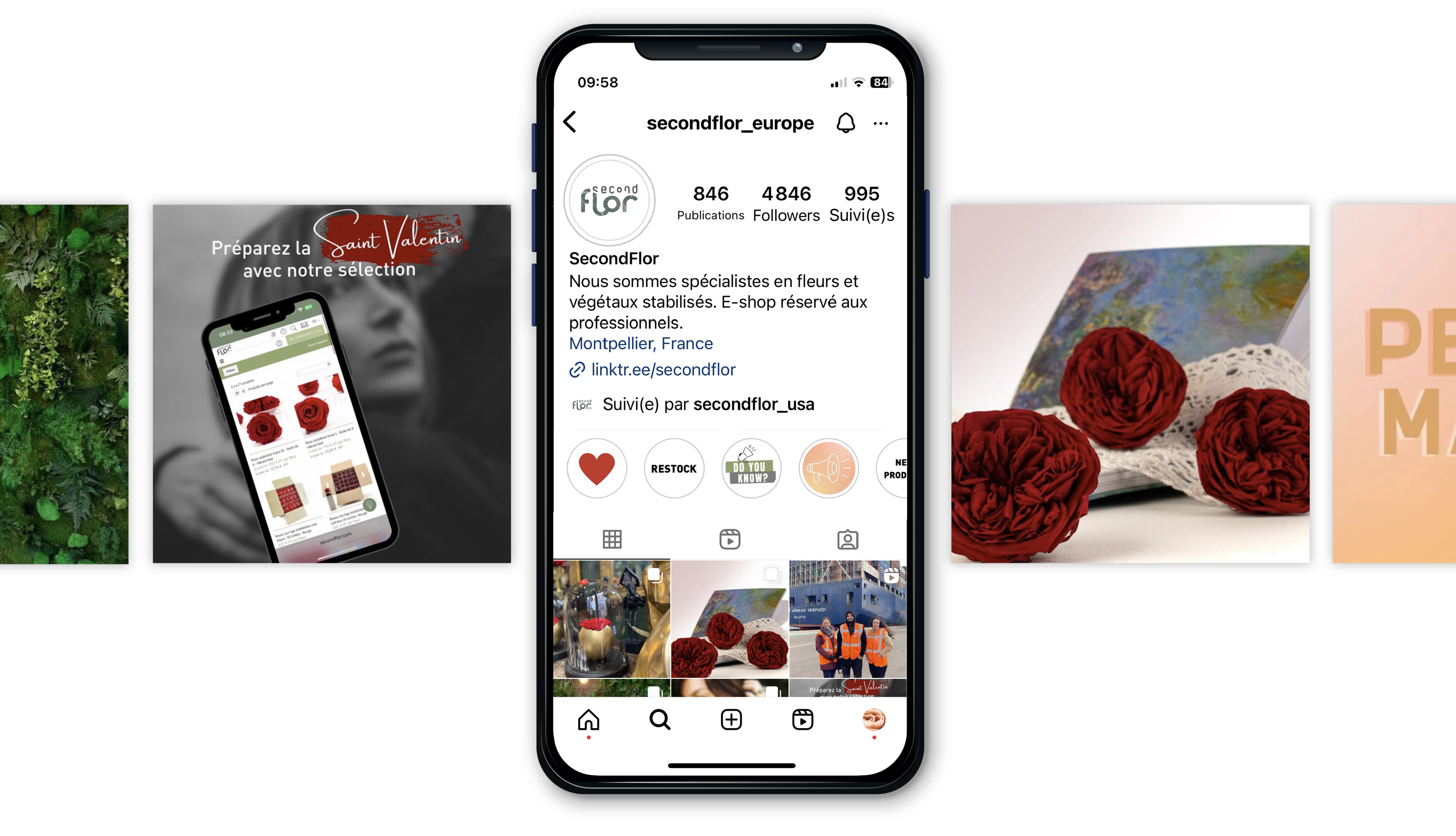 SecondFlor - Stabilized flowers and plants wholesaler - SecondFlor